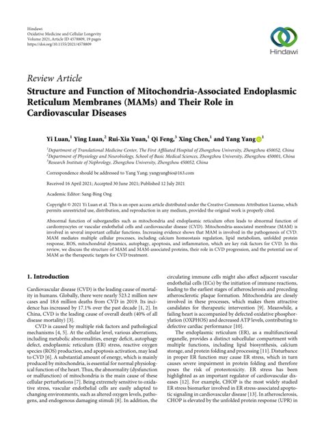 Pdf Structure And Function Of Mitochondria Associated Endoplasmic