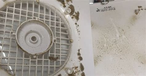 친절하게 설명해주시고 도착하기 한시간전에 전화달라고 부탁드렸는데 전화로 여러번 시간 확인해주시고 청소가 끝나기 전에 전화해주셔서