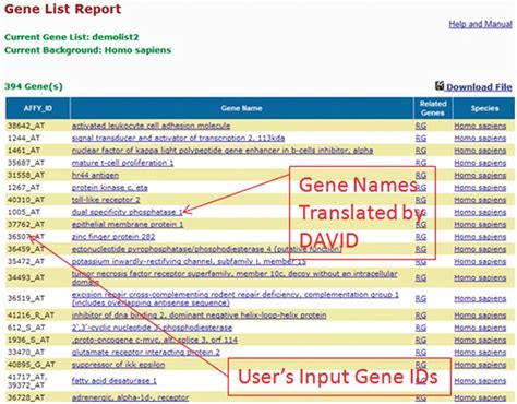 An Example Layout Of David Gene Name Batch Viewer Users Input Gene Ids Download Scientific