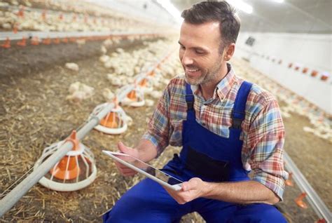 4 Fungsi Blower Dalam Kandang Ayam Untuk Hasil Optimal
