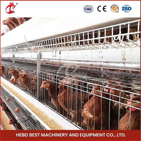 Bestchickencage A Type Layer Cage China Fox Proof Chicken Layer Coop