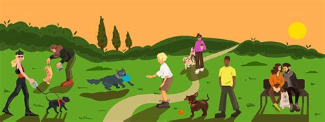 여름 포레스트 공원에서 개와 함께 걷는 사람들 아름다운 석양을 감상할 수 있는 휴양지 아름 다운 자연 녹색 풍경입니다 레크리에이션 야외 활동을 즐기는 편안한 사람들 벡터
