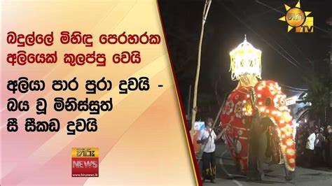 බදුල්ලේ මිහිඳු පෙරහරක අලියෙක් කුලප්පු වෙයි අලියා පාර පුරා දුවයි බය වූ මිනිස්සුත් සී සීකඩ