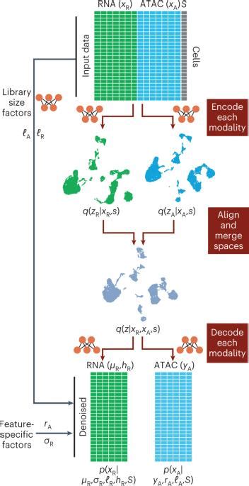 Anna Maria Bugaj On Linkedin Multivi Deep Generative Model For The