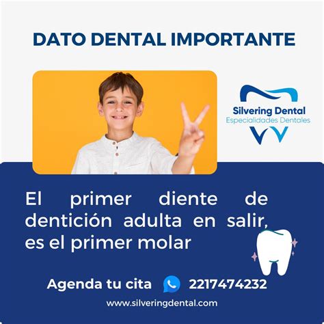 ⚠️cuida Los Silvering Dental Especialidades Dentales