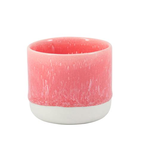 Sip Cups
