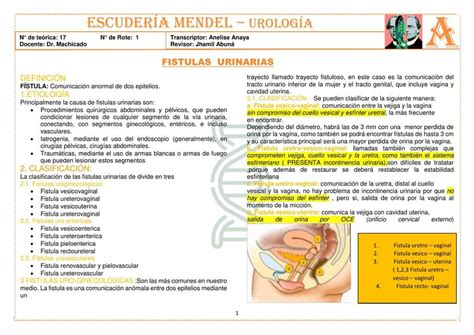 CIII UROLOGÍA T17 Edson Ivan Cangre Canaviri uDocz