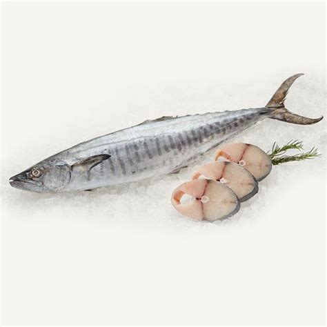 Frozen King Fish in Dubai,Sharjah,Ajman- eastfishonline.com