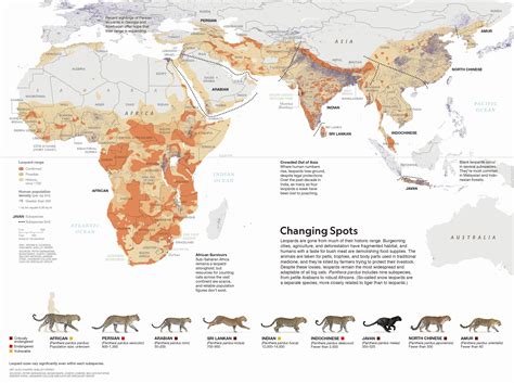 Leopard Range Map R Mapporn