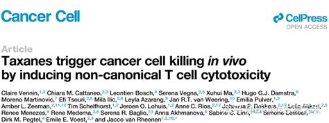 Cancer Cell