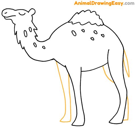 How To Draw A Camel