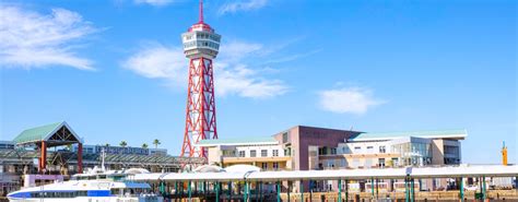 Hanaria｜水素とバイオ燃料を活用した国内初のクルーズ