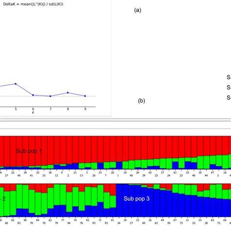 Bayesian Clustering Of Samples Of Limonia Acidissima