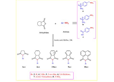 Scheme 1 Synthesis Of The Designed Cyclic Imide Derivatives