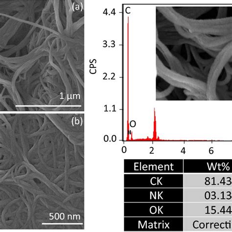 Graphical Illustration Of Ctx Detection On Anti Ctx Modified Download Scientific Diagram