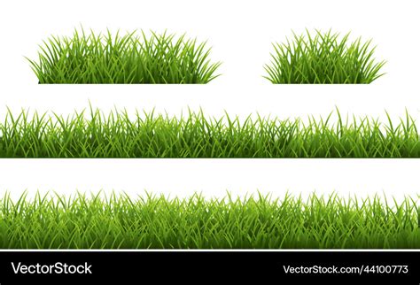 Green Grass Frame Set Isolated White Background Vector Image