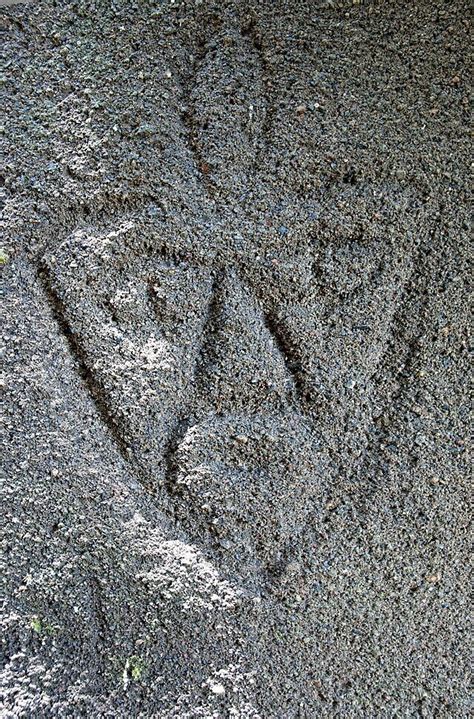 Face Drawing Rocks Angular Nature Photo Background And Picture For Free