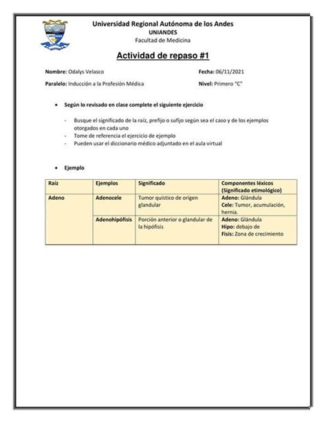 Resúmenes de Prefijos y sufijos Descarga apuntes de Prefijos y sufijos