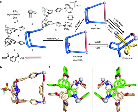 Self Assembly Reversible Transformations And Single Crystal Download Scientific Diagram
