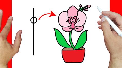 CÓMO DIBUJAR UNA ORQUIDEA PASO A PASO Dibujos fáciles YouTube