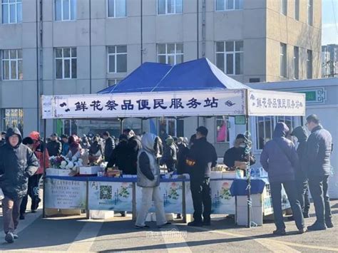 26万人外出祭扫丨低碳节俭有新意 哈市迎来祭扫高峰澎湃号·政务澎湃新闻 The Paper