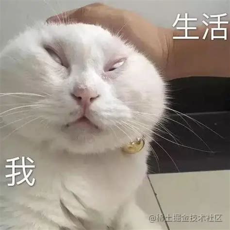 入职避坑指南（杭州）杭州四大坑 Csdn博客