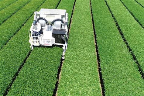 静香園製茶お茶・緑茶・べにふうき│静岡県磐田市から産地直送【静香園】の深蒸し茶