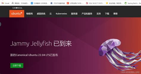 Linux系统 Ubuntu的下载和安装ubuntu下载 Csdn博客 Linux系统 Ubuntu的下载和安装ubuntu下载 Csdn博客