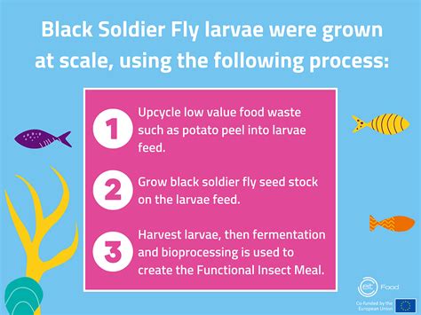 A New Aquafeed Made From Insect Protein For The Aquaculture Sector