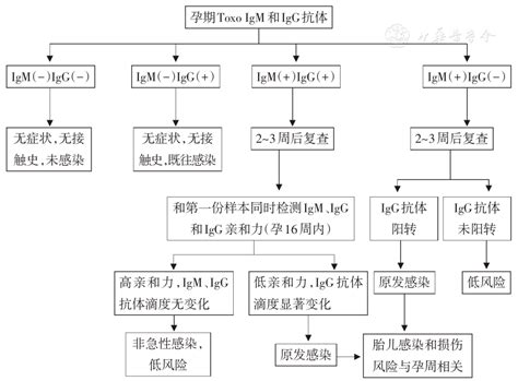 Torch实验室规范化检测与临床应用专家共识 搜狐大视野 搜狐新闻