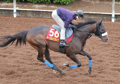 【オークス】前日最終オッズ単勝1番人気はサークルオブライフで4・0倍 アートハウスが2番人気6・7倍 Umatoku 馬トク