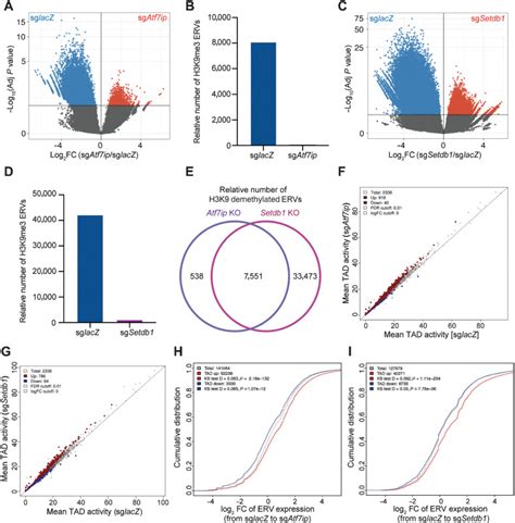 Targeting The Atf7ipsetdb1 Complex Augments Antitumor Immunity By