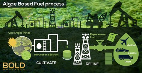 Oil From Algae The Newest Renewable Energy Source Bold Business