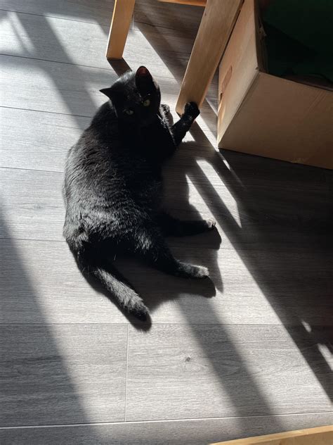 Chubby Bathing Delightfullychubby