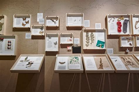 Storms Promote Insect Diversity In Forests Biocommunication Group