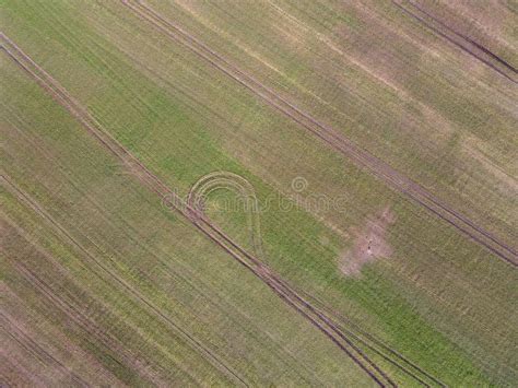 Aerial Top Down Of Grassy Meadow With Geometric Pattern In Brandenburg
