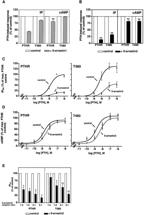 Effects Of Overexpression Of Arrestins On Pth Induced Signaling A