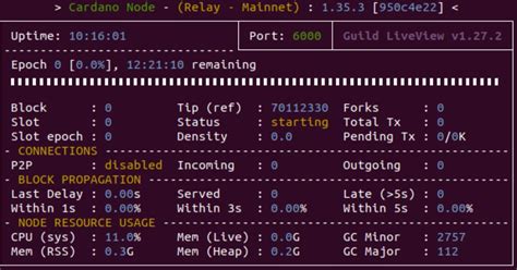 Upgraded To 1353 But Db Not Syncing And Relay Not Receiving Incoming Connections Operate A