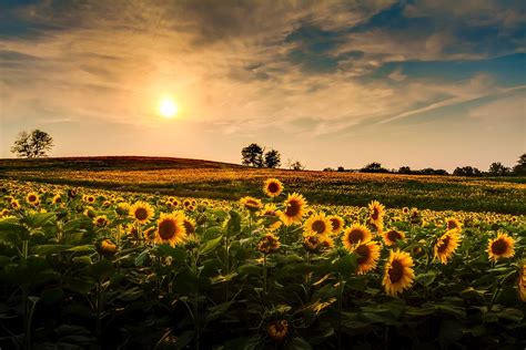 Campers Share Their Top 5 Favorite Campgrounds In Kansas