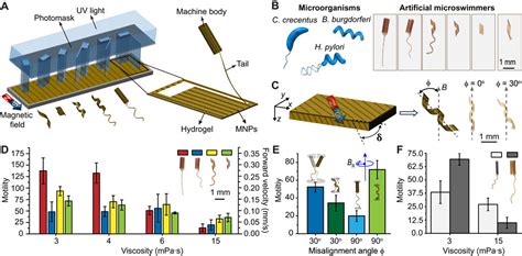 Adaptive Locomotion Of Artificial Microswimmers