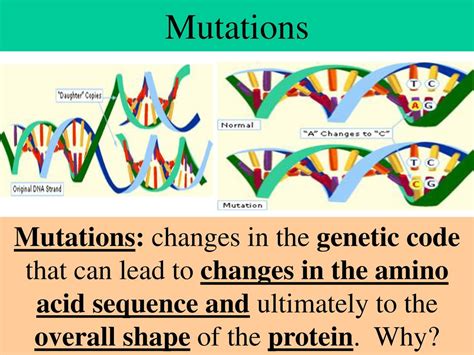 Mutation Genetic Code