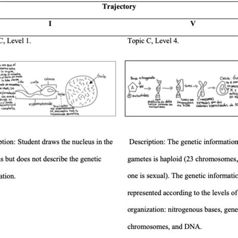 a comparison of trajectories i and v for theme c download