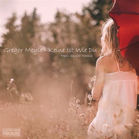 Stream Gregor Meyle Keine Ist Wie Du Marc Spieler Remix By Marc Spieler Listen Online For