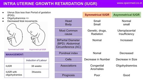 Intra Uterine Growth Retardation Iugr Symmetrical And Asymmetrical R Foamed