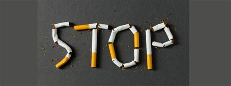 31 De Maio Dia Mundial Sem Tabaco Uma Data Crucial Para Os