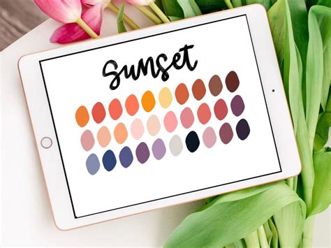 Procreate Color Palette Color Swatches Swatch Files Sunset Etsy