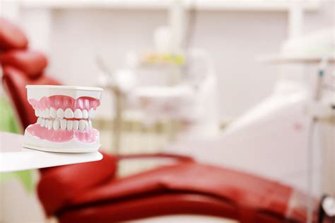 흰 이빨을 가진 인간의 턱의 클로즈업 모델 치과에서 턱 복사 공간을 복사합니다 깨끗한 틀니 치과 의사의 사무실에서 턱의 모델 치과 개념 사진 의족 치과 거짓 티 0명에 대한