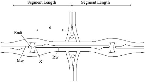 Schematic Of U Turns Geometry And Segment Length Download Scientific Diagram