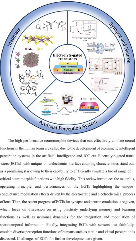 Emerging Electrolyte Gated Transistors For Neuromorphic Perception Abstract Europe Pmc