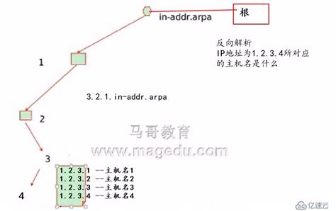 DNS服务正向反向解析区域主 从区域数据库复制子域授权及基本安全控制 数据库 亿速云